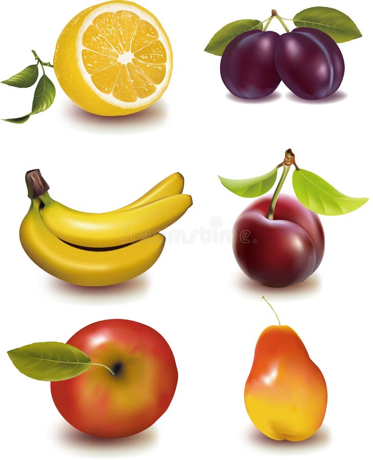Big Set of Fresh Fruit. Vector Stock Vector - Illustration of mango ...