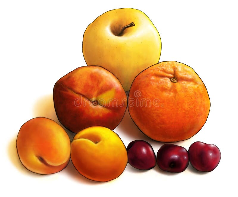 Fruit composition drawing stock illustration. Illustration of howtodraw ...