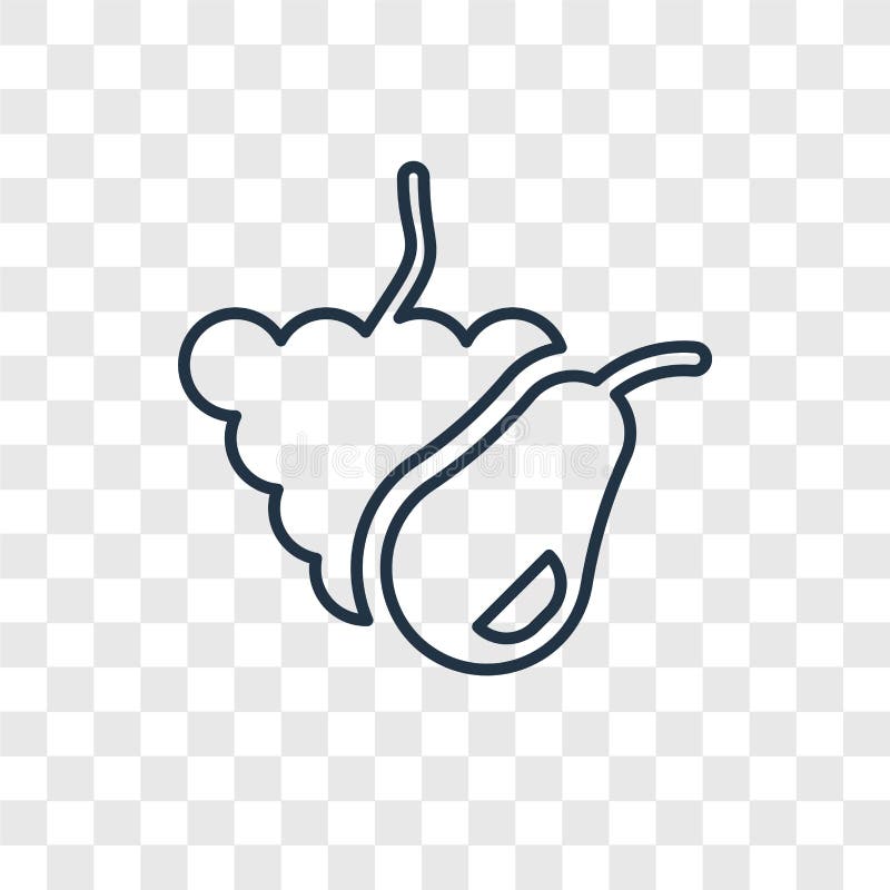 Fruit Concept Vector Linear Icon Isolated on Transparent Background ...