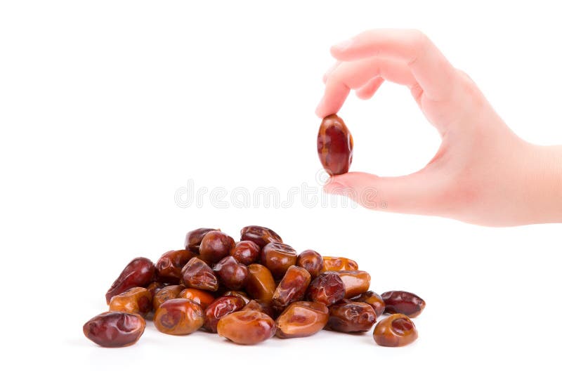 Fruits of the date palm stock photo. Image of palm, fruits - 108642748