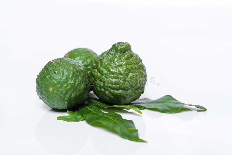 Fruit De Bergamote : Bergamote Sur Le Fond Blanc Photo stock - Image du ...