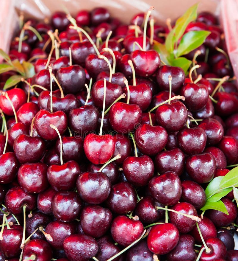 Fruit de cerise image stock. Image du frais, baie, dessert - 32100197