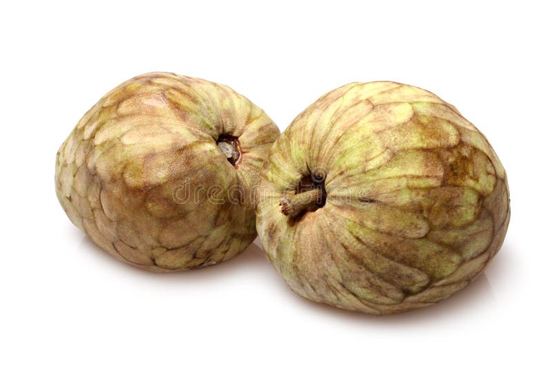 Arbre Fruitier D'annona Cherimola. Photo stock - Image du vert ...