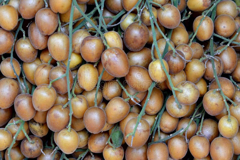 Fruit chinois photo stock. Image du asiatique, boissons - 58269696