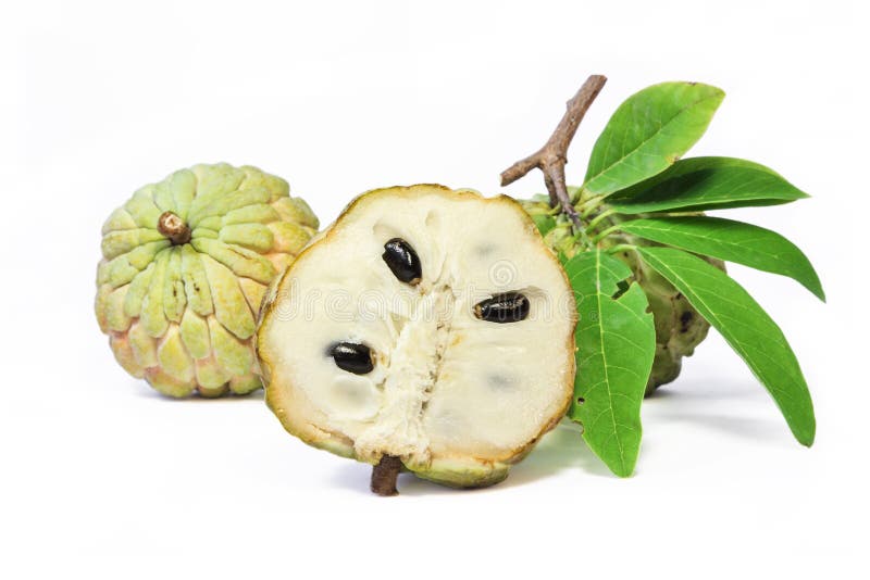 Fruit De Corossol Avec Des Feuilles Sur Le Fond Blanc Photo stock ...