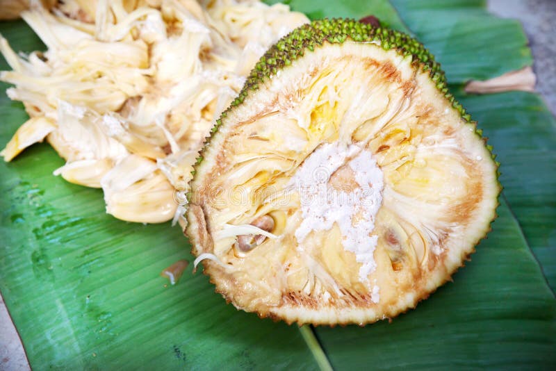Jack Fruit photo stock. Image du automne, croissance - 77081272
