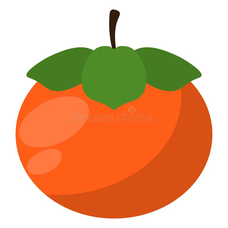 Faits De Nutrition De Fruit De Kaki Illustration de Vecteur ...