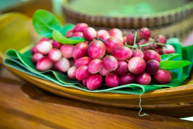 Fruit De Karanda, Carandas L De Carissa Image stock - Image du ...