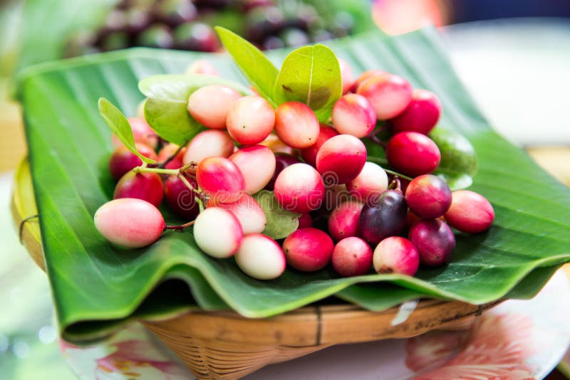 Fruit De Karanda, Carandas L De Carissa Image stock - Image du ...
