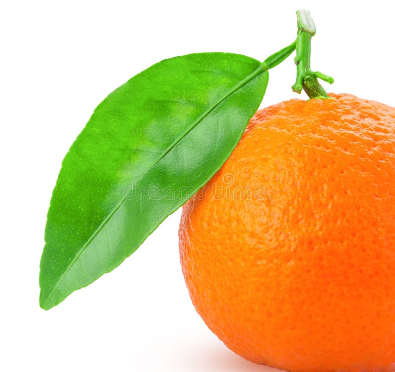 375 Photos de Mandarine Verte Simple - Photos de stock gratuites et ...