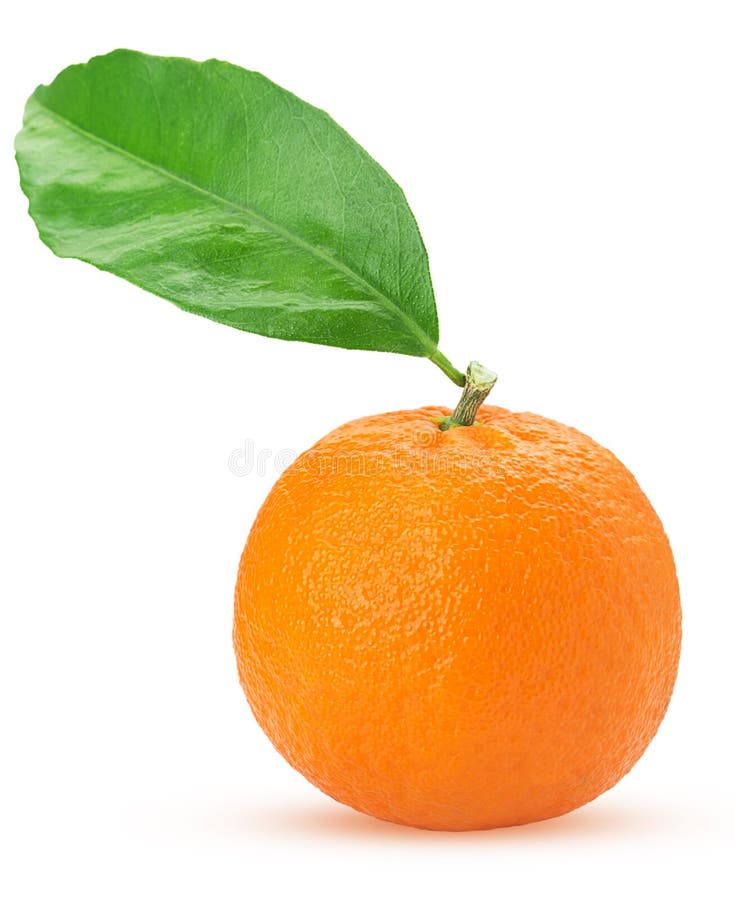 389 Photos de Mandarine Verte Simple - Photos de stock gratuites et ...