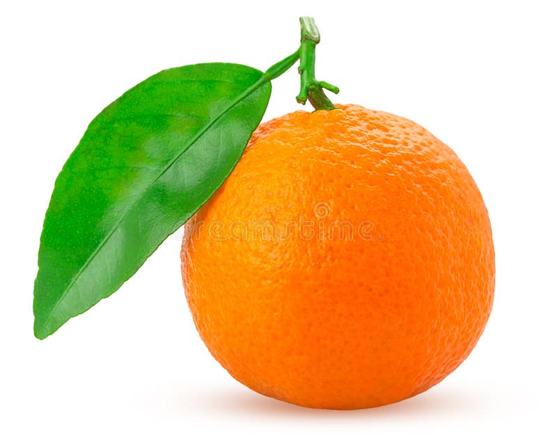 389 Photos de Mandarine Verte Simple - Photos de stock gratuites et ...