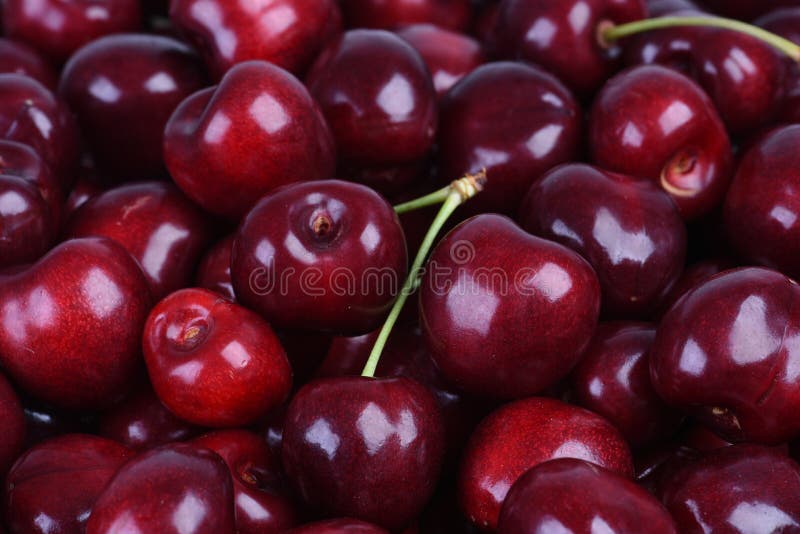 Fruit de merise image stock. Image du goût, paume, dessert - 2150535