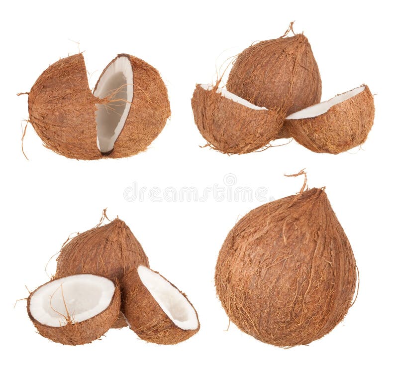 Noix De Coco. Morceaux D'isolement Sur Un Blanc Photo stock - Image du ...