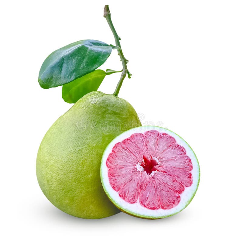 Pamplemousses De Pamplemousse De Tige Et De Feuilles, En Coupe Photo ...