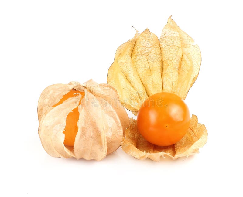 Fruit De Physalis, Baie De Cap D'isolement Sur Le Blanc Image stock ...