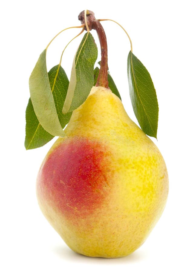 Fruit rouge de poire photo stock. Image du poire, fermer - 16322394
