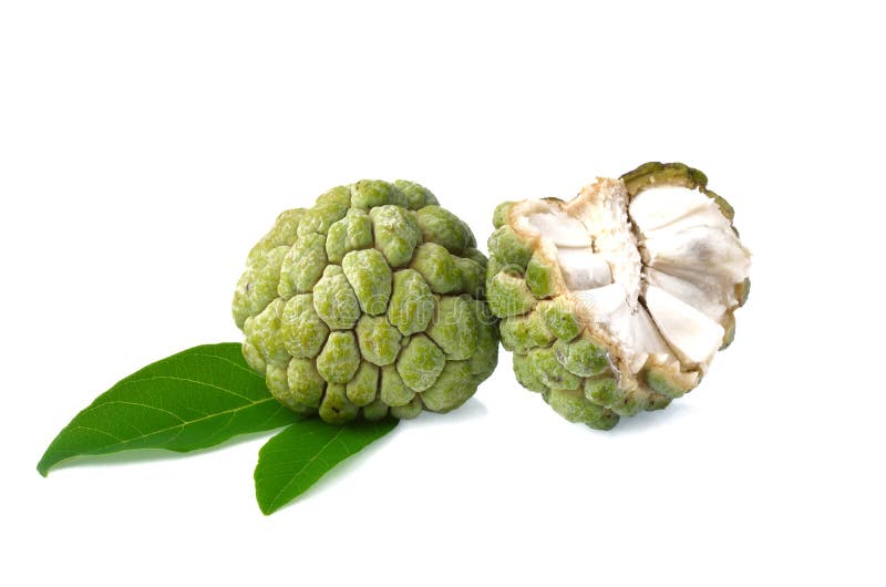 Fruit de pomme cannelle photo stock. Image du agriculture - 26008044