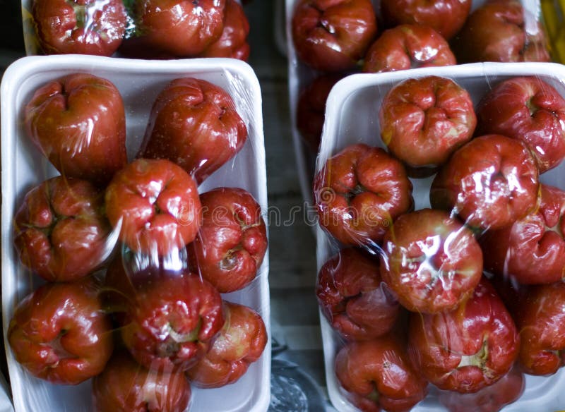 Fruit De Pomme D'eau Est Un Fruit Tropical Photo stock - Image du ...