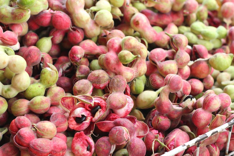 Fruit De Tamarinier De Manille Au Marché Image stock - Image of fond ...