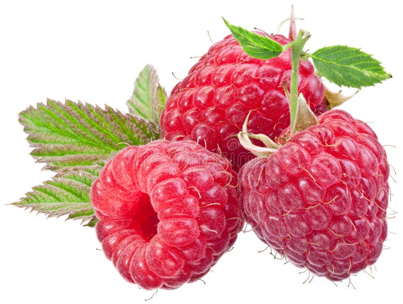 Un Fruit Riche De Framboise D'isolement Sur Un Blanc Photo stock ...