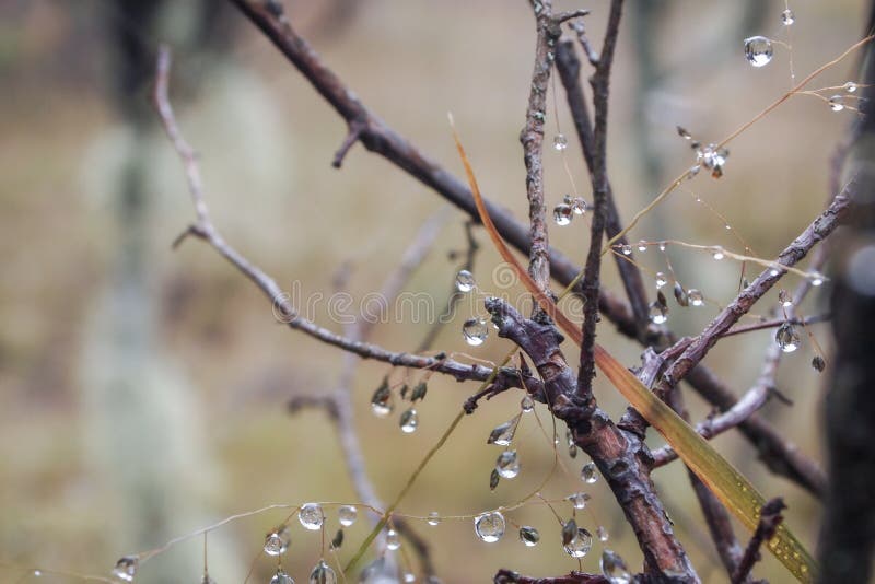 Yudo Nawantoro (Yudo4850) - Photographer profile