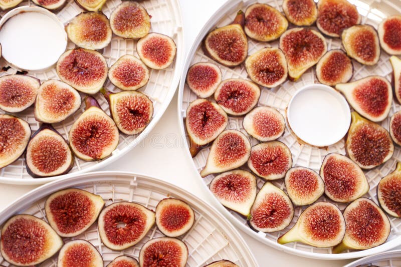 Fruit Drying Process on Dehydrator Plates on Table Stock Photo - Image ...