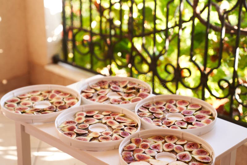 Fruit Drying Process on Plates on Balcony Table Stock Photo - Image of ...