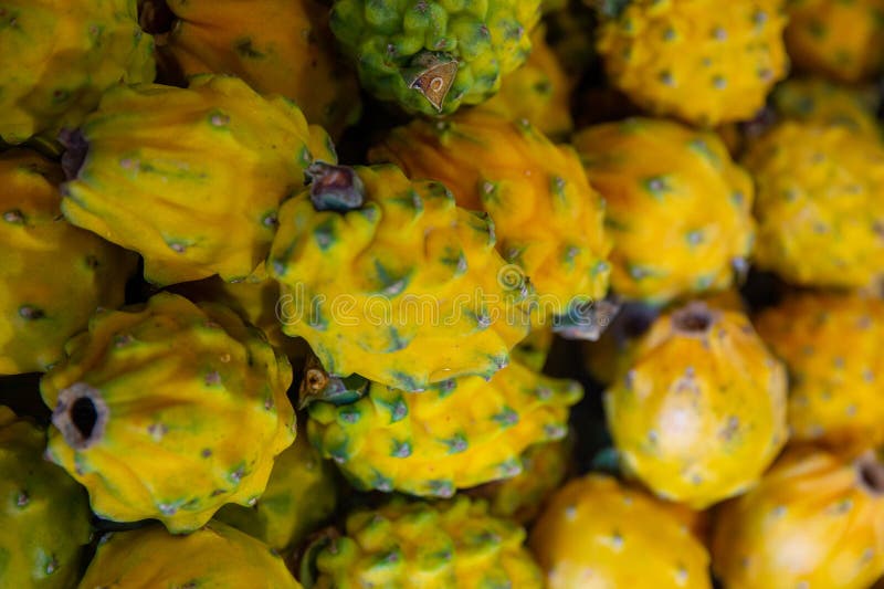 Fruit Du Dragon Jaune Exotique Photo stock - Image du frais, vert ...