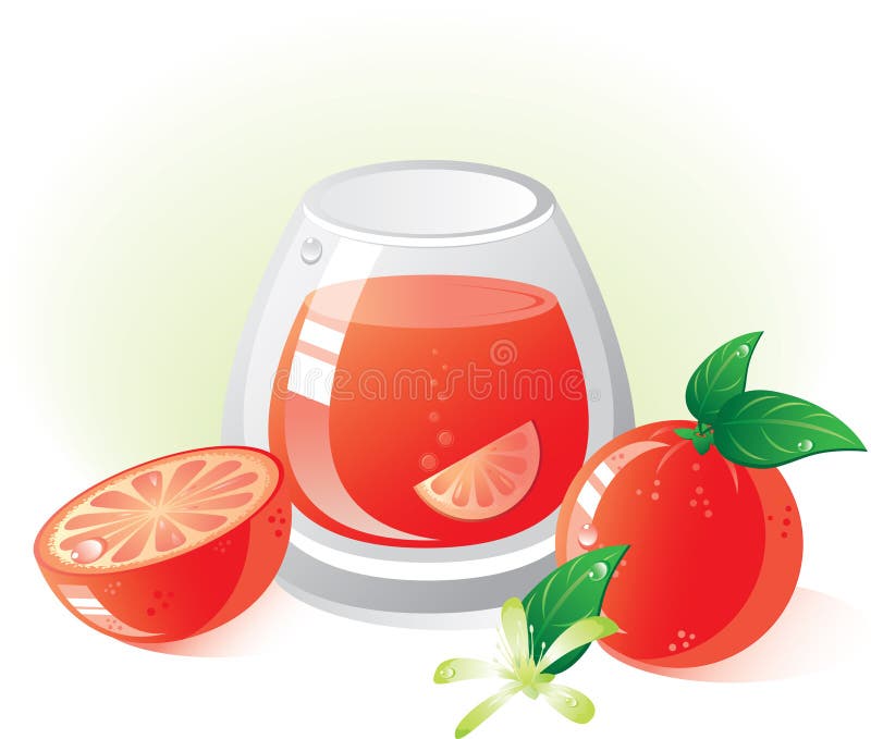 Dessin De Fruit De Pamplemousse Croquis Des Pamplemousses Sur Un Fond ...