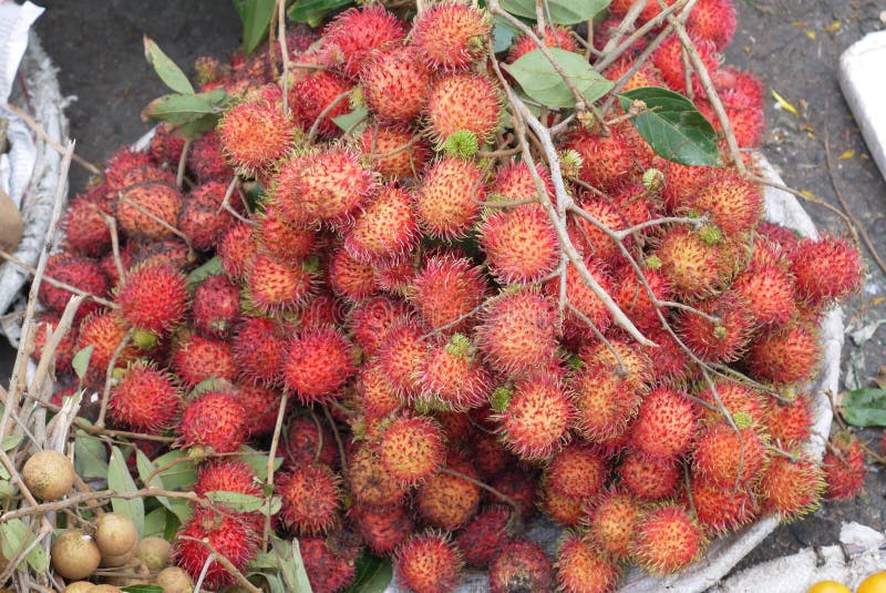 Fruit exotique photo stock. Image du rouge, exotique - 89841484