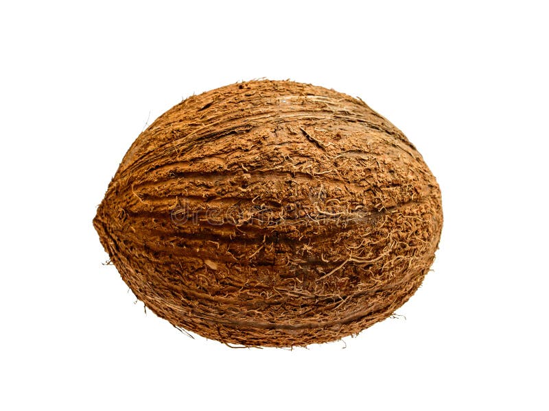Fruit Exotique De Noix De Coco D'isolement Sur Le Fond Blanc Photo ...