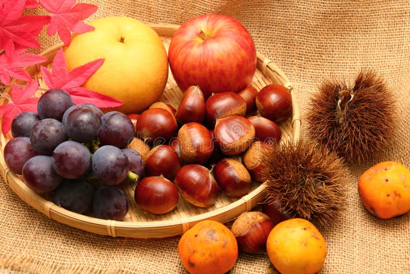 Fruit of fall, assorted stock photo. Image of tree, chestnut - 100723456