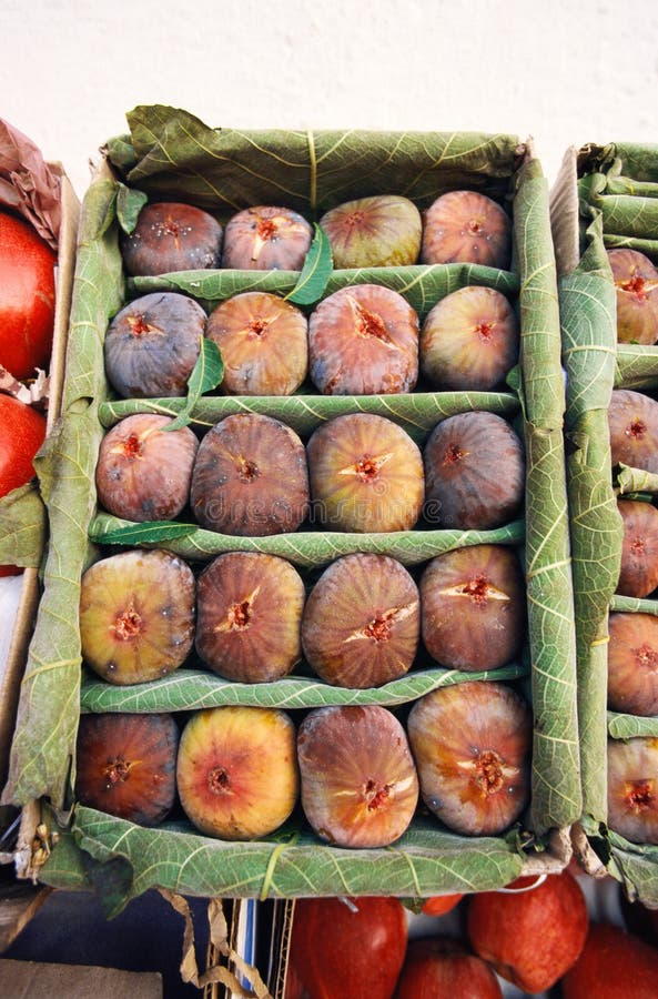 Indian Fruit Fig Bombay Mumbai Maharashtra India Stock Photo - Image of ...