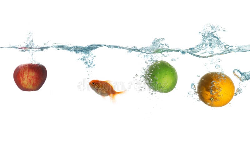 Fruit and fish stock image. Image of green, motion, isolated - 3511397