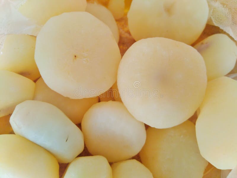 Somwang Name Stock Photos - Free & Royalty-Free Stock Photos from ...