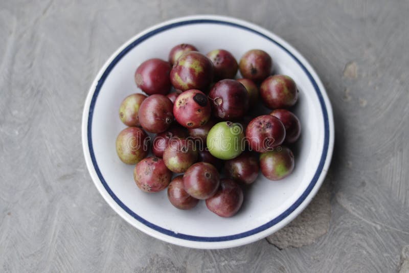 Rukem Fruit Stock Photos - Free & Royalty-Free Stock Photos from Dreamstime