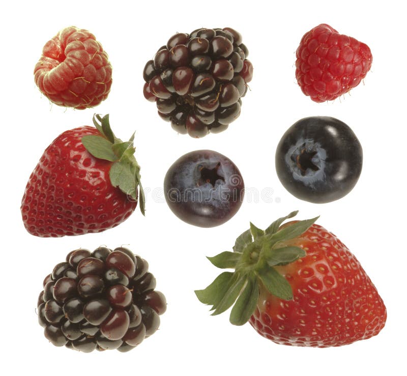 Fruit of the Forest Isolated Stock Photo - Image of food, fruit: 67107170