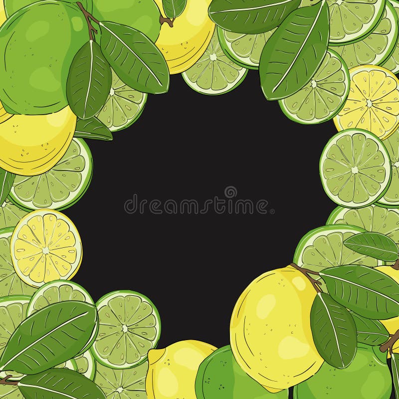 Lime border stock vector. Illustration of border, herbal - 179336841