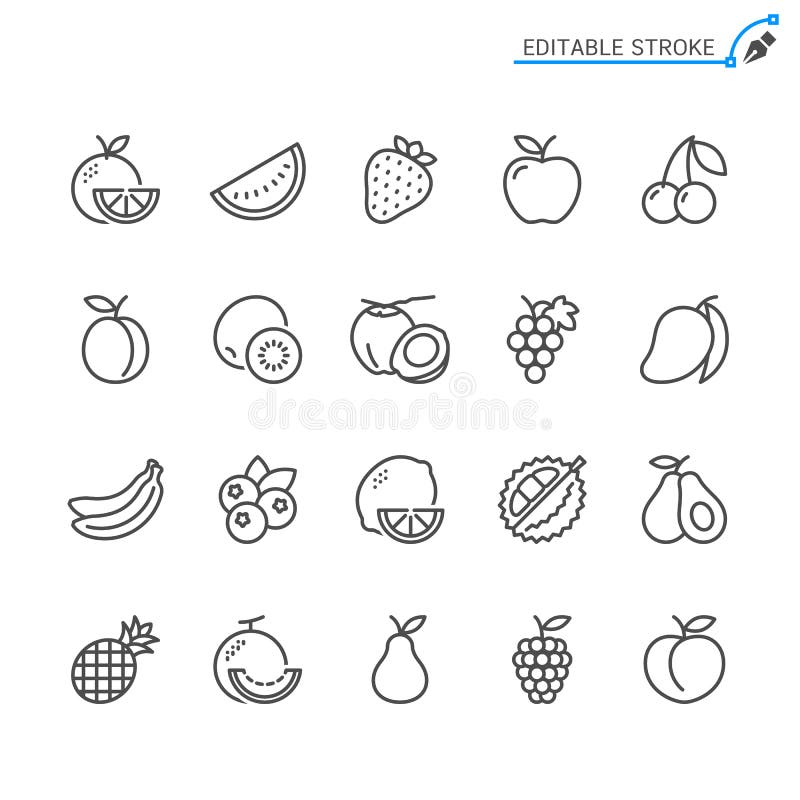 Fruit line drawing stock vector. Illustration of cherry - 199351421