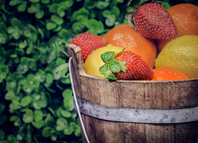 Fruit Gathered in a Rustic Wooden Bucket Stock Photo - Image of natural ...