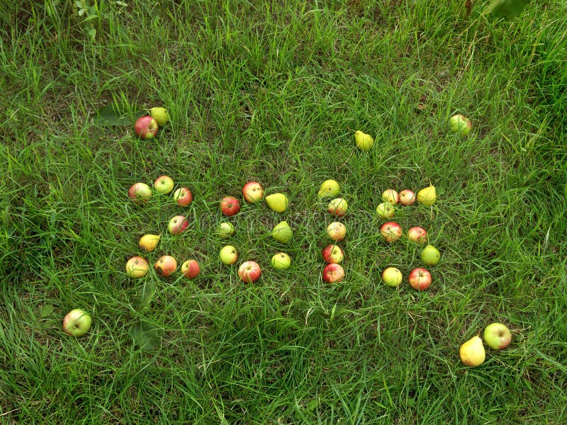Fruit on the grass stock photo. Image of green, garden - 44031420