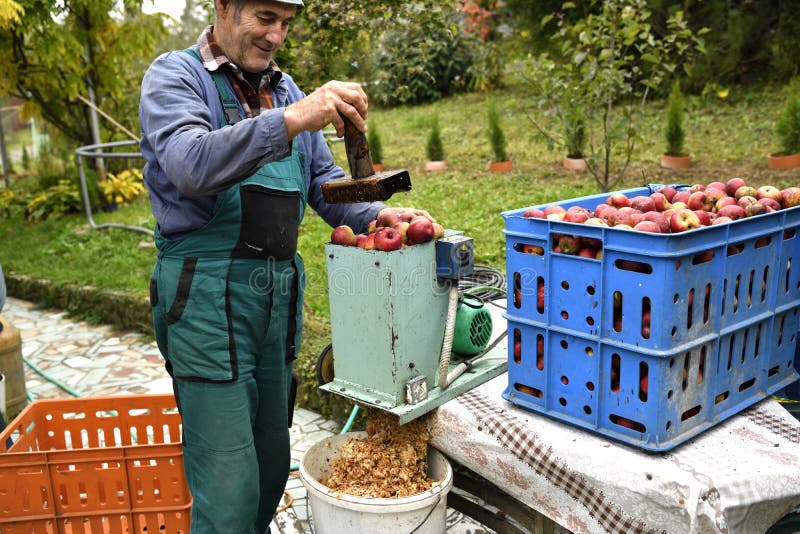 938 Fruit Grinder Stock Photos - Free & Royalty-Free Stock Photos from ...