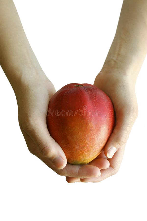 Fruit in Hand stock image. Image of food, beauty, hand - 3308111