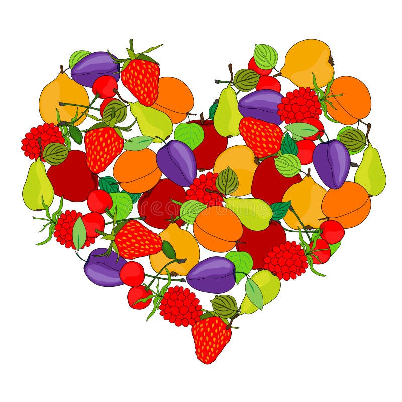 Fruit heart stock vector. Illustration of symbol, cherry - 34572900