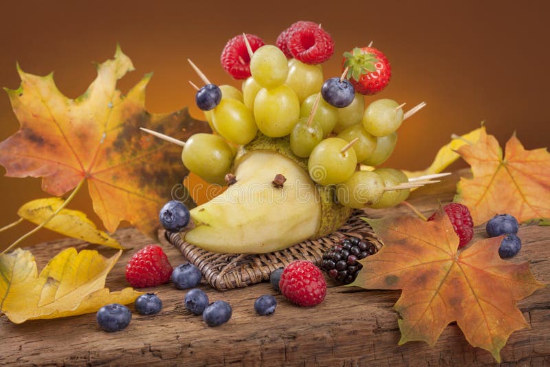 Fruit hedgehog stock photo. Image of autumn, ingredient - 27215580