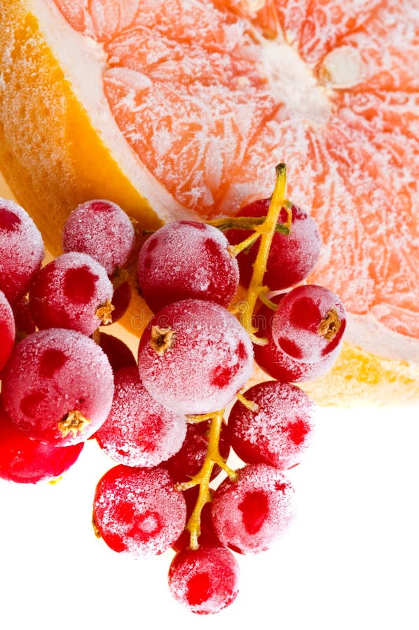 Fruit in ice. stock photo. Image of blend, drop, citrus - 8851496