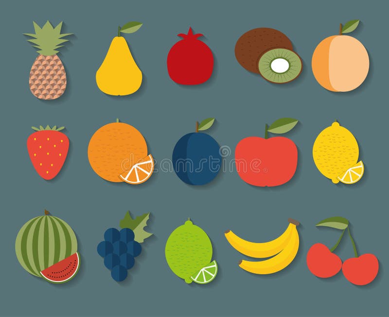 Fruit Icon. the Image of Fruits and Berries Symbol Stock Vector ...