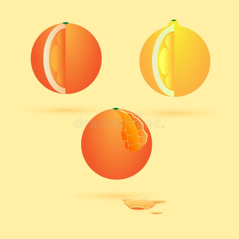 Fruit icons stock vector. Illustration of power, fruit - 51132801