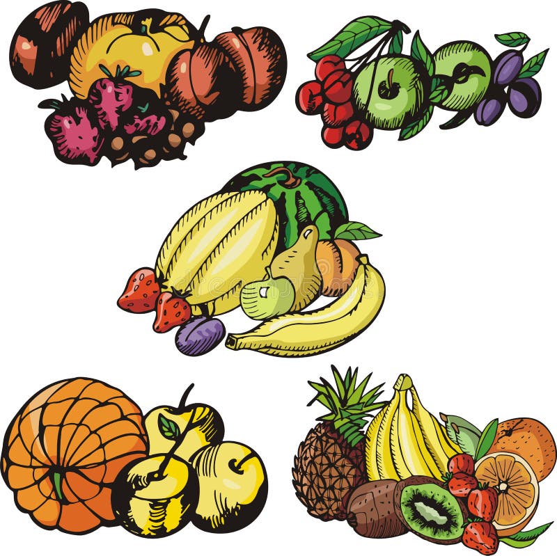 Fruit illustration series stock vector. Illustration of citrus - 3801648 Fruit illustration series stock vector. Illustration of citrus - 3801648